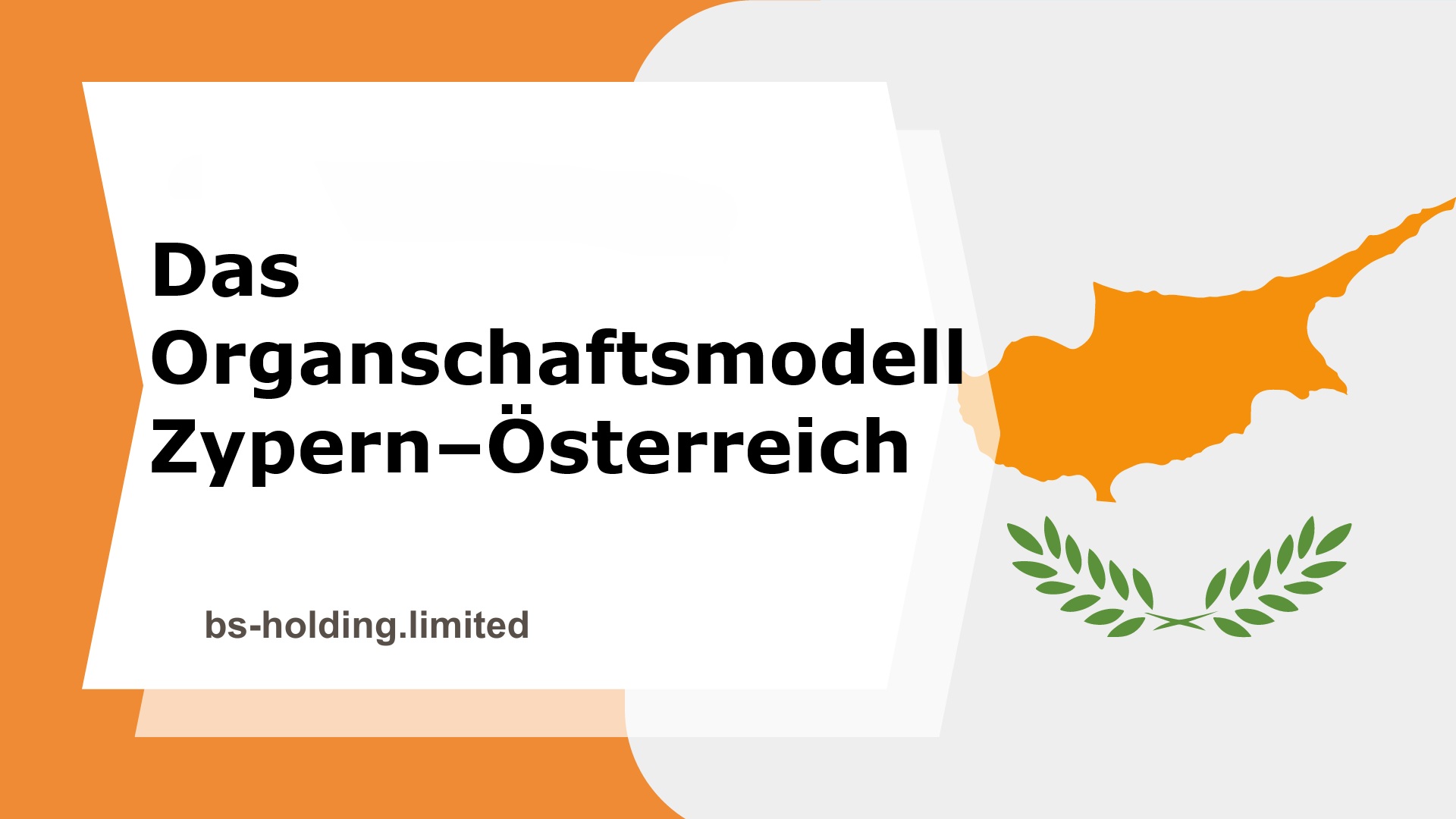 Organschaftsmodell Zypern–Österreich - BS Holding Ltd